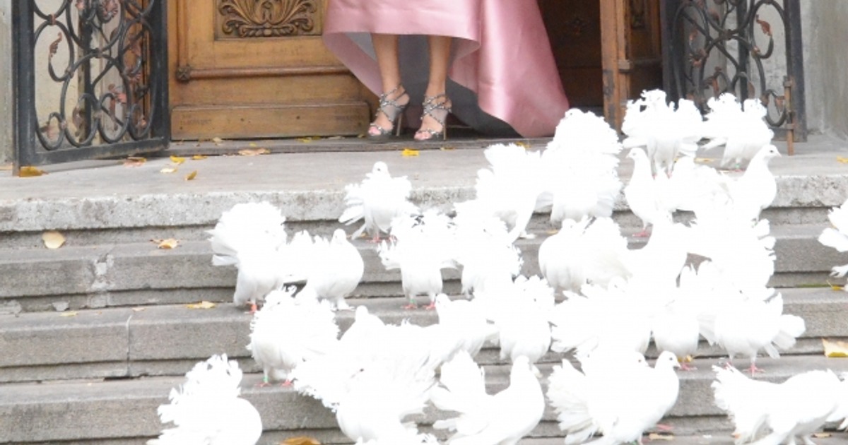 Iulia Albu a comentat ţinutele Elenei Udrea purtate la nunta lui Prigoană