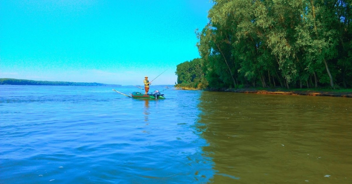 Stoparea declinului speciilor de sturioni sălbatici din regiunea ...