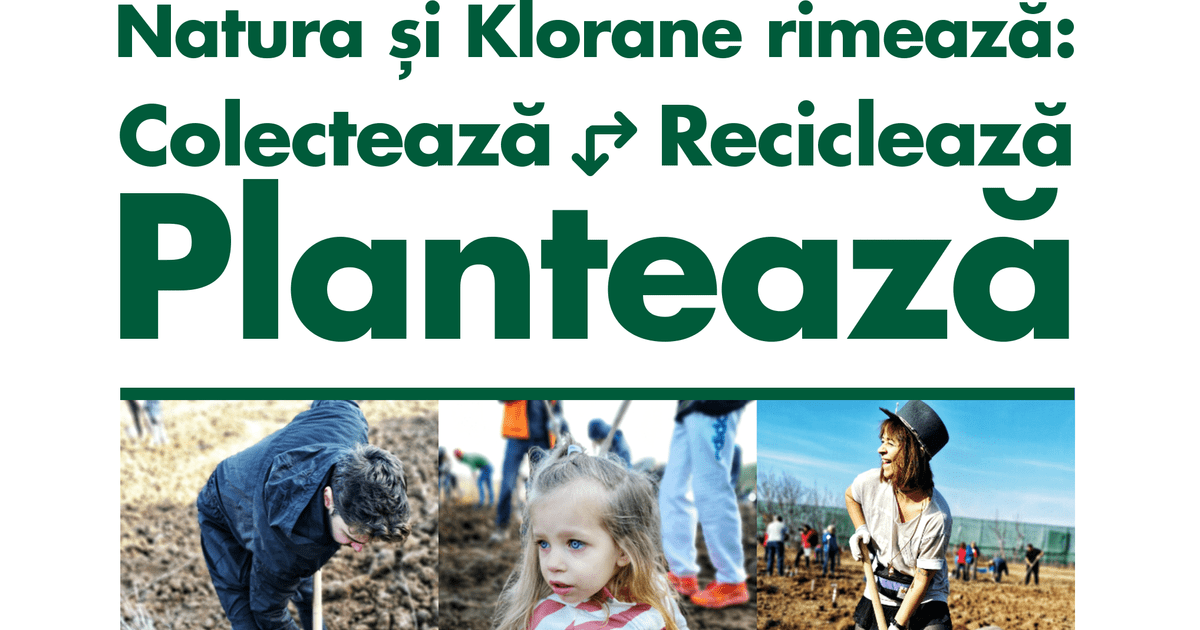 DaddyCool, Ana Novic şi fetiţa lor, Ingrid plantează 10.000 de copaci