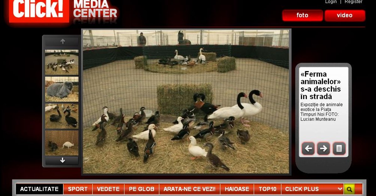 Expoziţie de animale exotice la Piaţa Timpuri Noi - FOTO