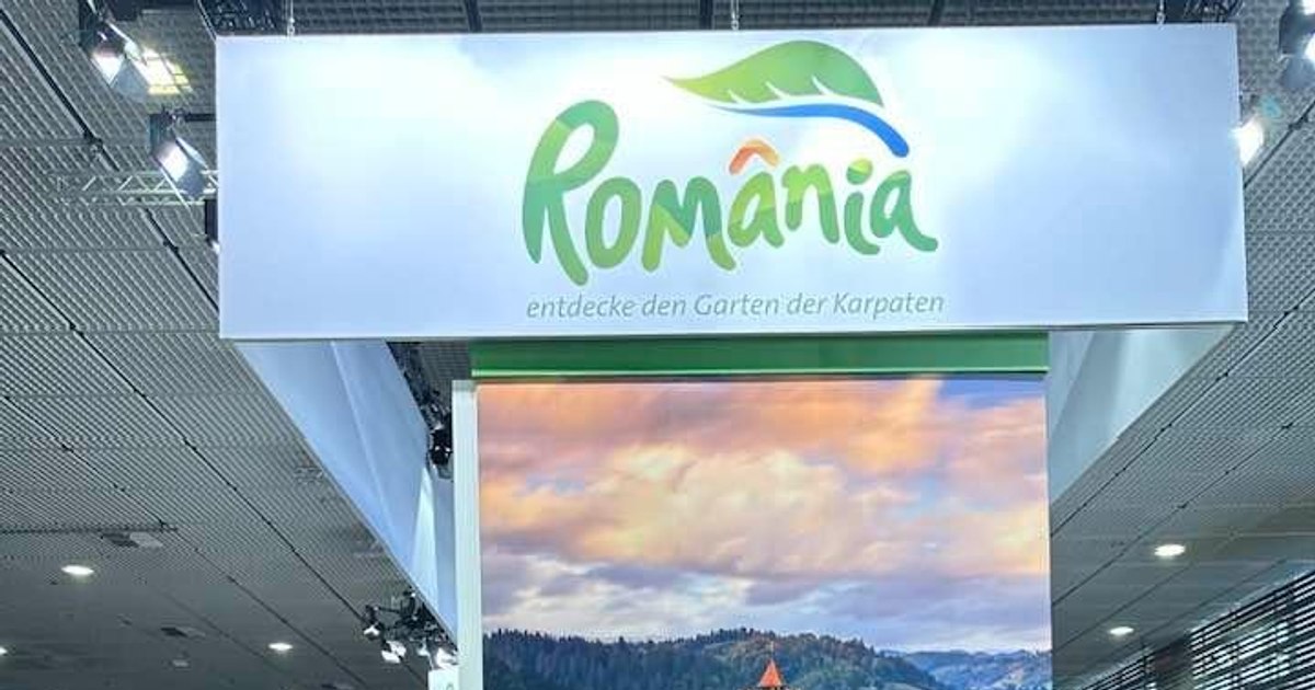 Cine sunt și ce proiecte au Alin Burcea și Adrian Voican, candidații ...