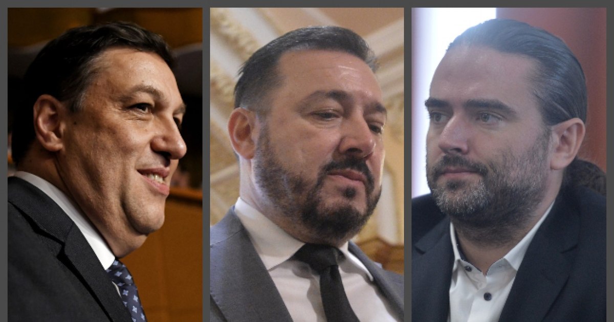 Partidul Ecologist se umple cu „deşeurile” altor partide | adevarul.ro