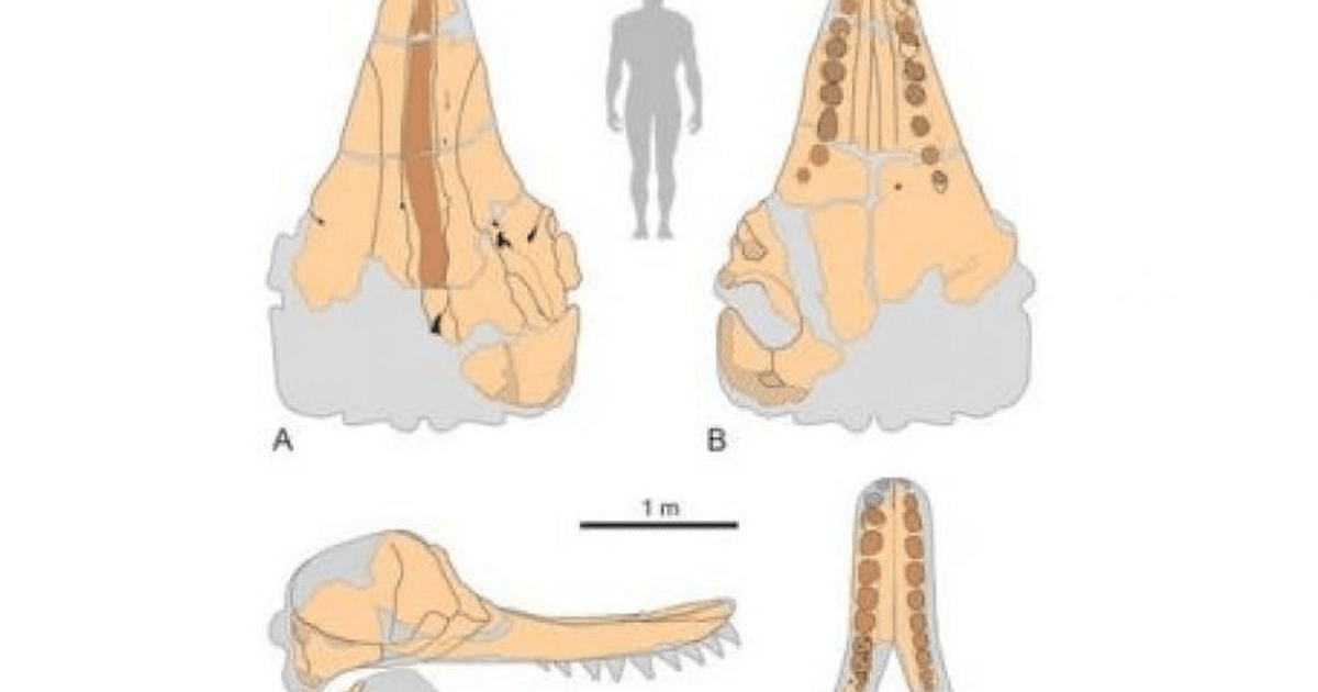 Au fost descoperite fosilele unui monstru marin de acum 12 milioane de ani