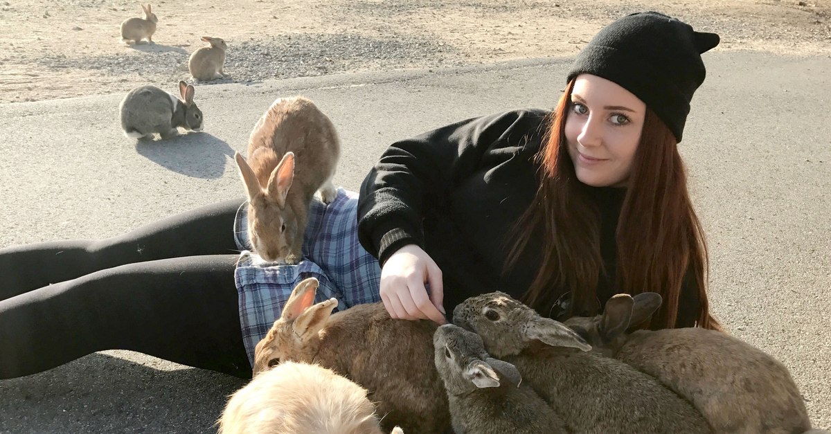 „Insula iepurilor” din Japonia fascinează turiștii! Animalele sunt ...