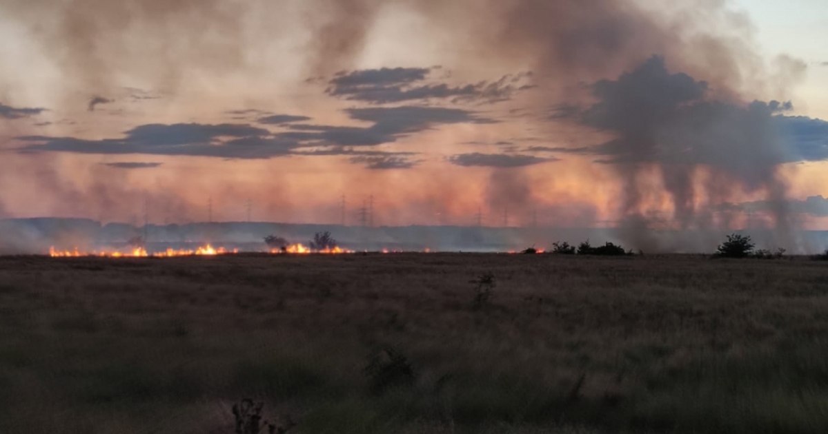 Incendiu puternic lângă Slatina, pe mai mult de 10 hectare. Pompierii ...