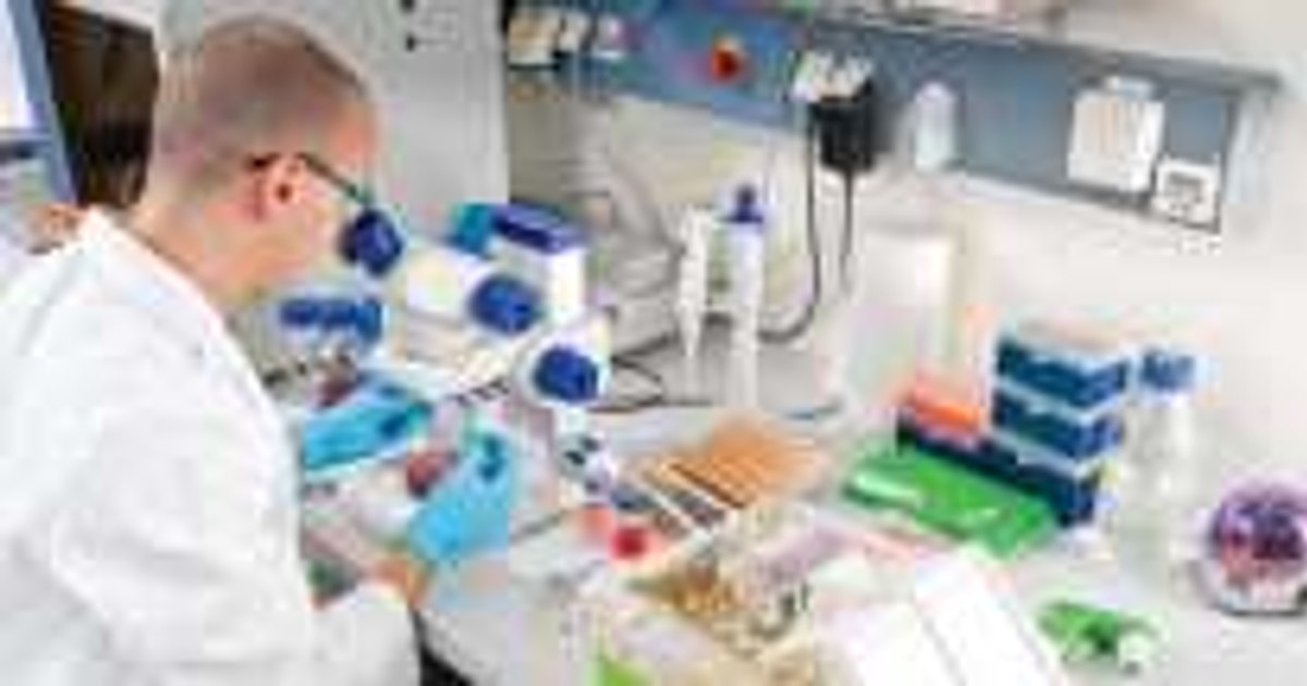 Telocitele româneşti „prind contur“ peste hotare | adevarul.ro