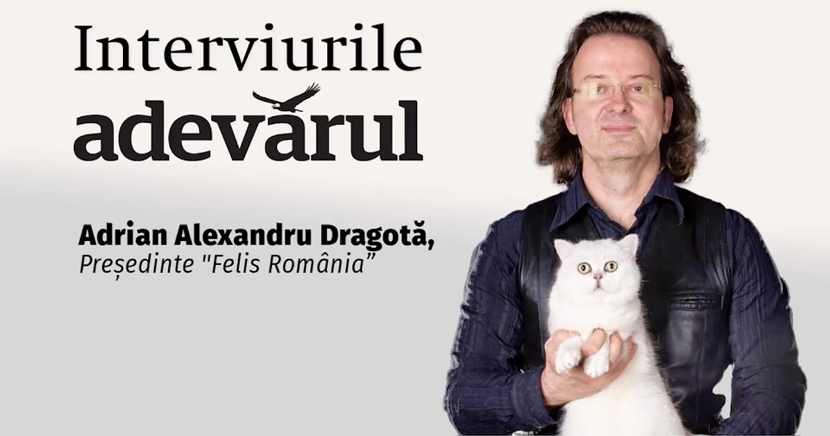 Inițiative legislative pentru protejarea animalelor de companie, cu ...