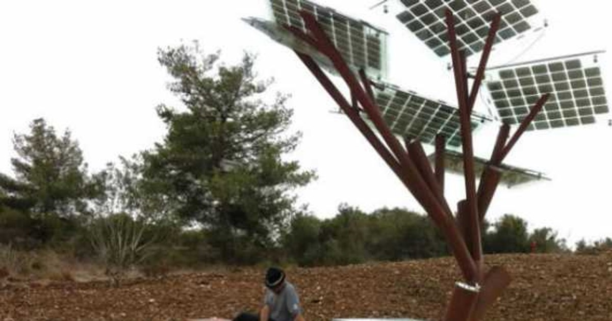 Arbori solari, care generează energie verde, vor fi instalaţi în ...