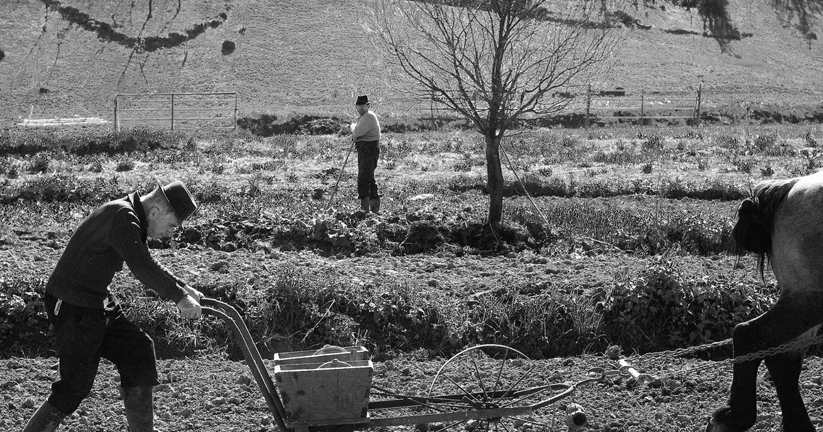 Optimismul ca formă de lamentare