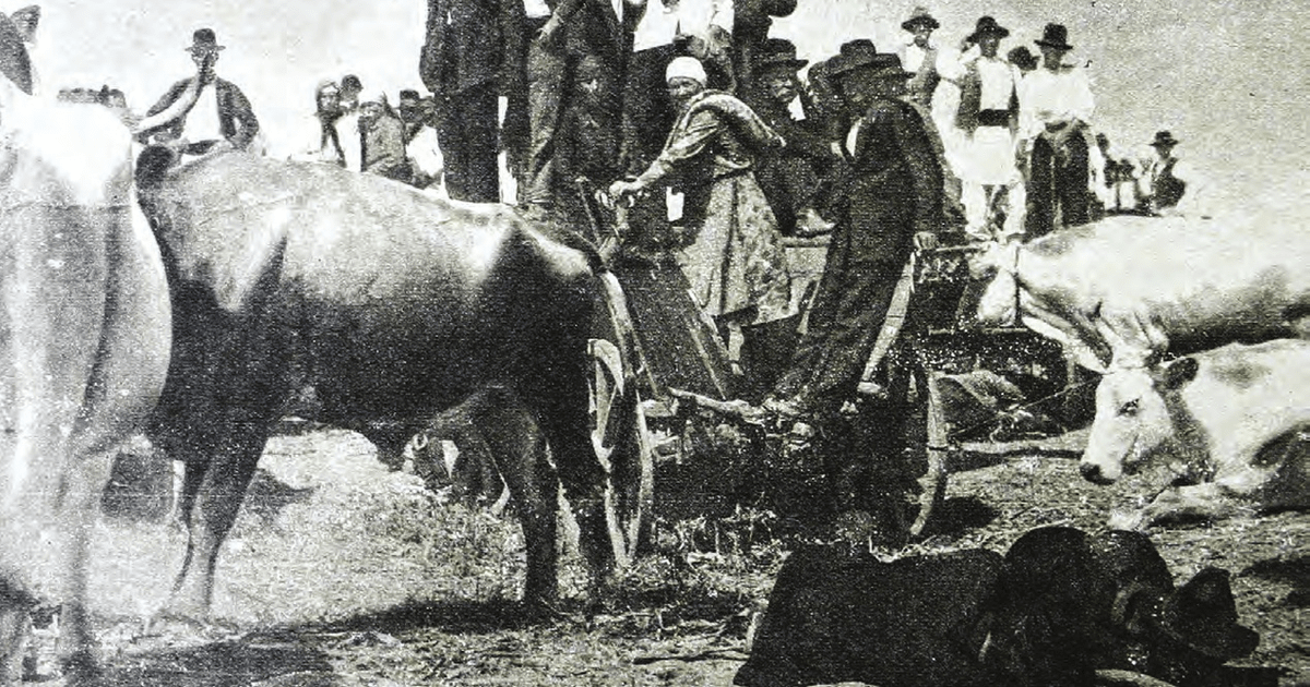 Fenomenul Maglavit - cum s-a născut o legendă populară