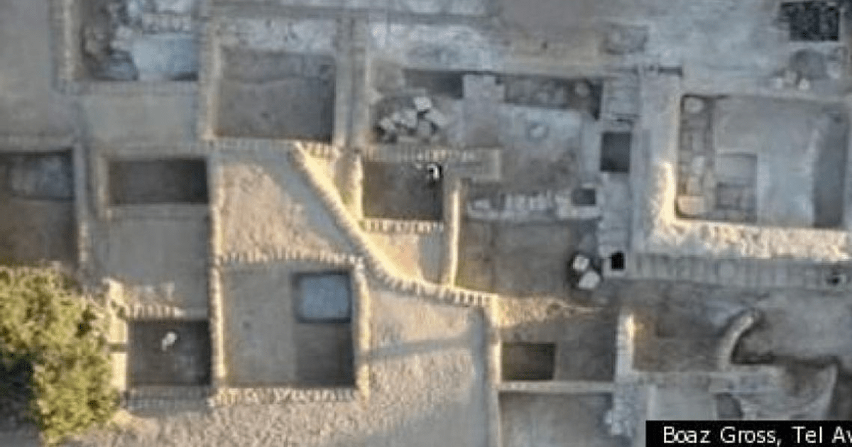 Au fost reconstruite grădinile biblice