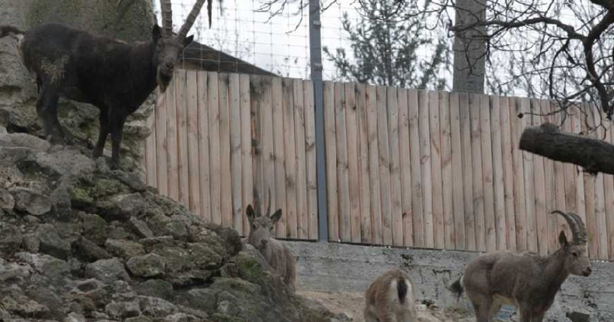 Escapadă în lumea animalelor exotice | adevarul.ro