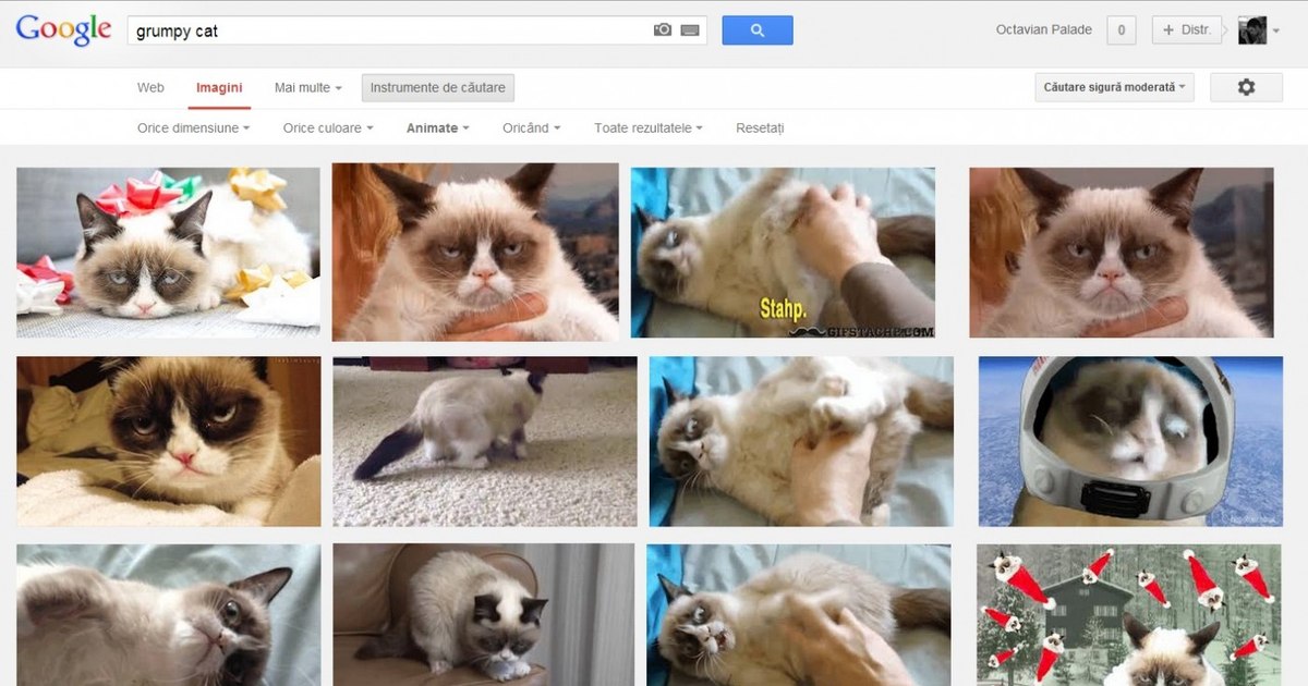 Google permite căutarea de imagini animate | adevarul.ro