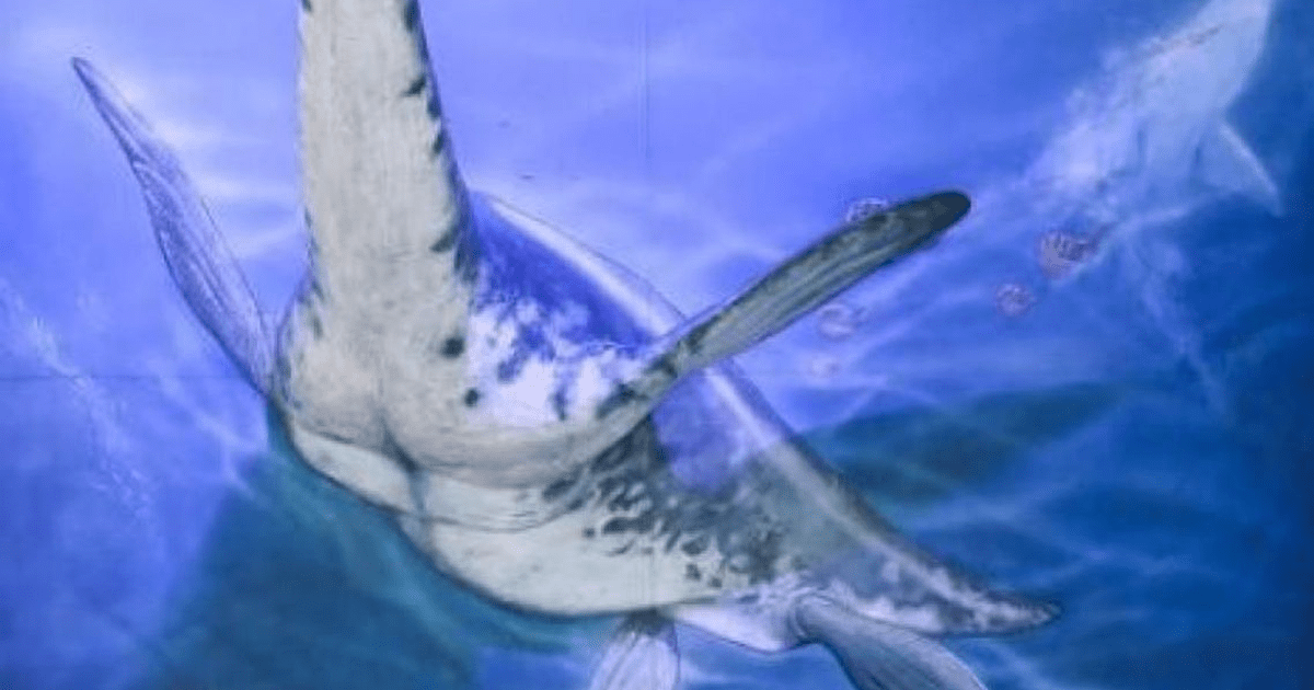 Au fost descoperite fosilele celui mai vechi monstru marin din Antarctica