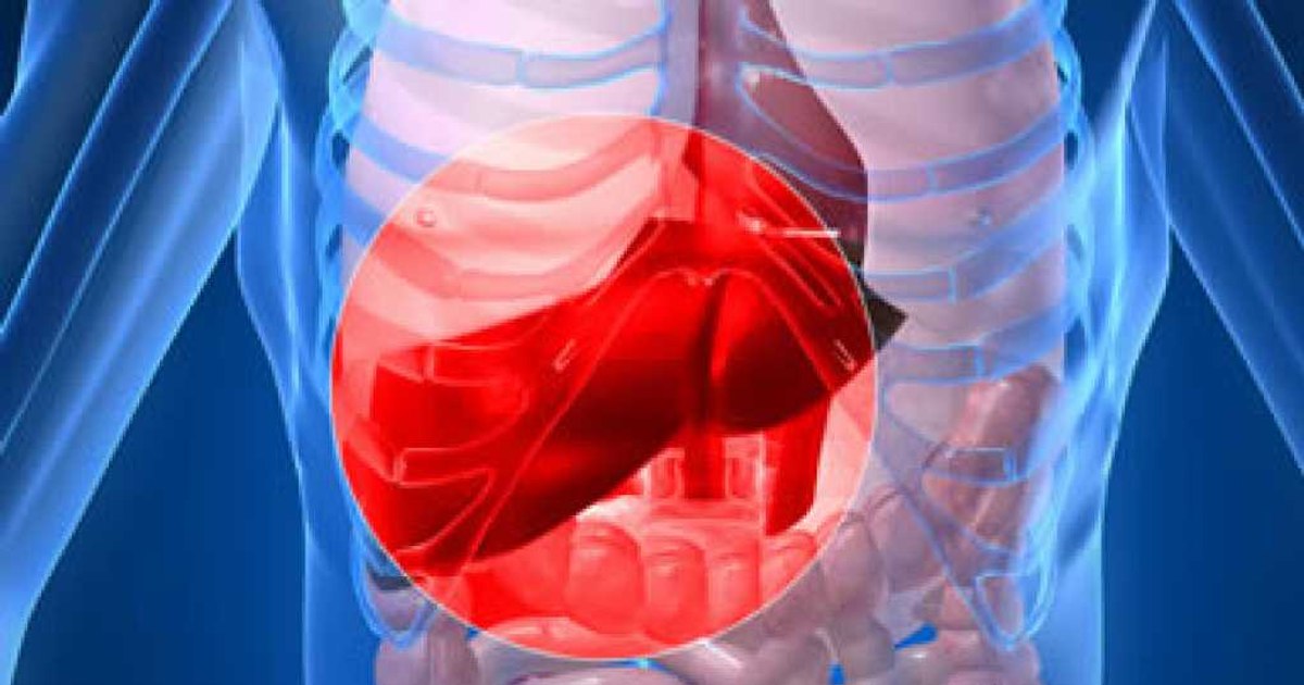 Medicover: Ecografia abdominala pentru diagnosticul incarcarii grase a ...