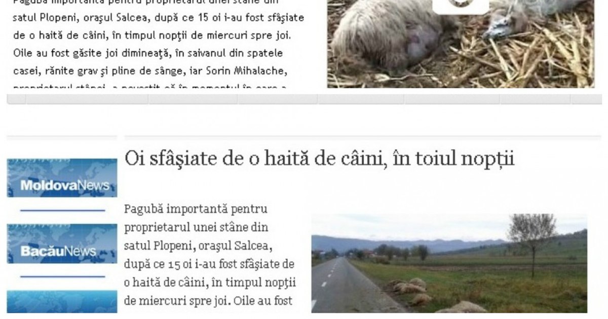 Precedent în justiţia română. Administratorii unui site care au copiat ...