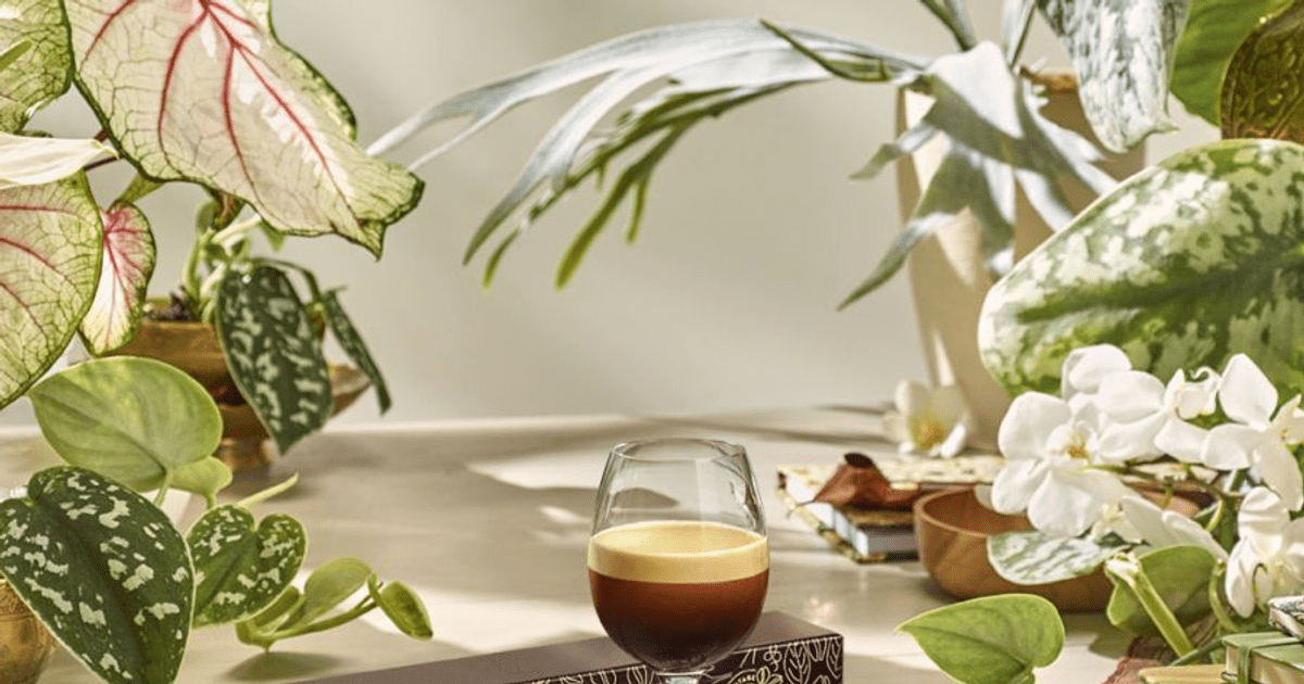 Nespresso Aged Sumatra – cînd faci drumul spre tine însuți