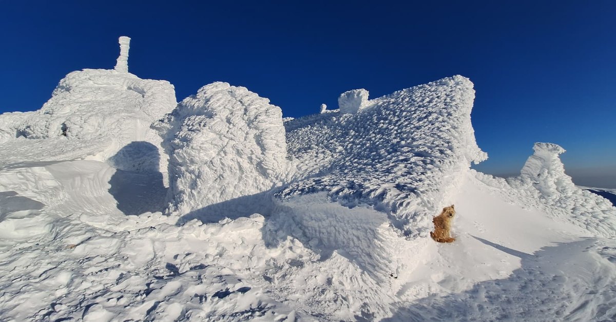 Imagini uluitoare de la Cabana Omu! Munții sunt încă acoperiți de ...