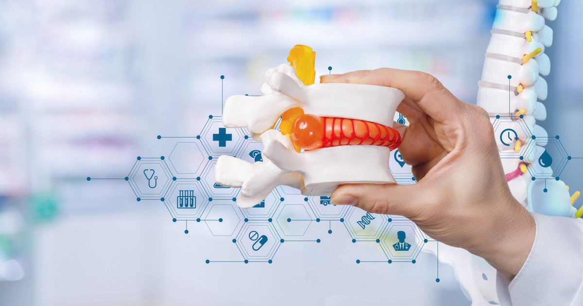 Scientists discover a biological switch that reverses osteoporosis and ...