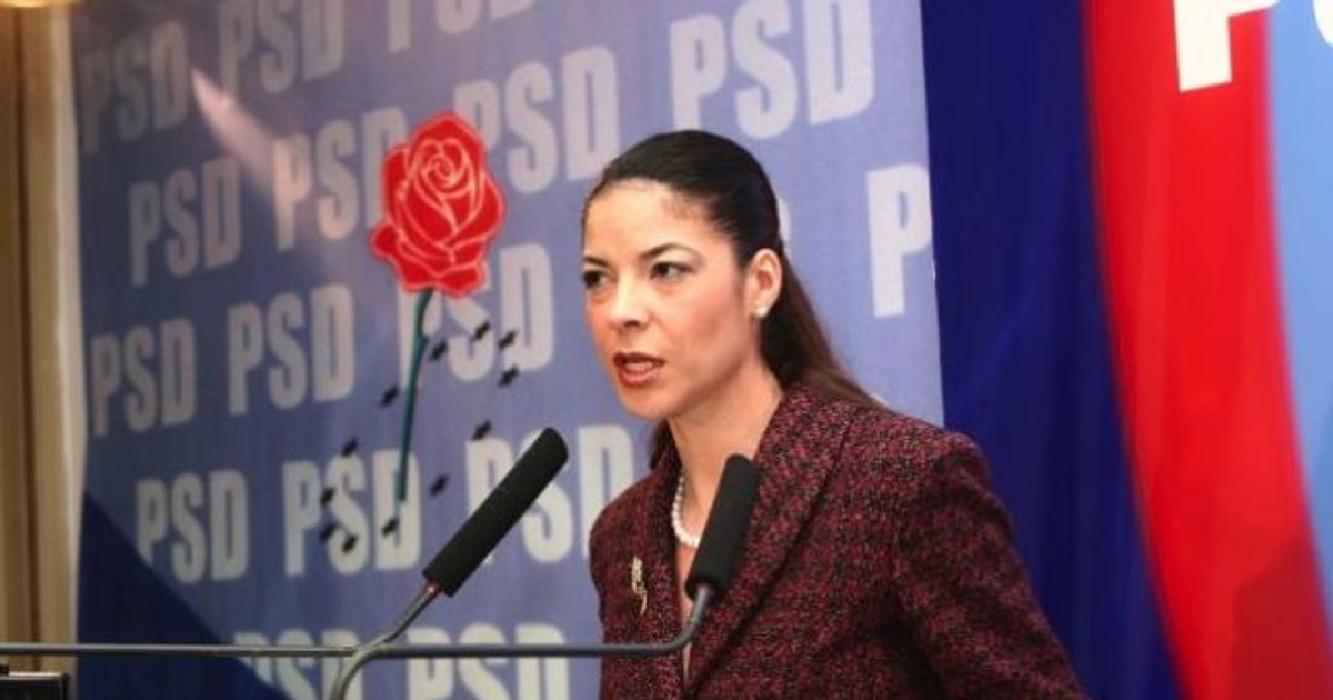 Ana Birchall, cel mai bogat candidat la alegerile parlamentare din ...