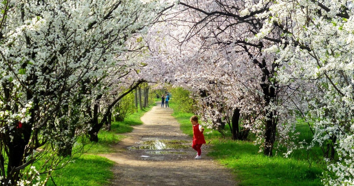 FOTO Cele mai frumoase parcuri din ţară: Crângul din Buzău - o rămăşiţă ...