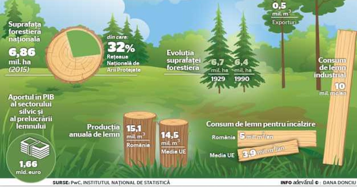 Exploatarea lemnului, afacere de 1,7 miliarde de euro pe an în România ...