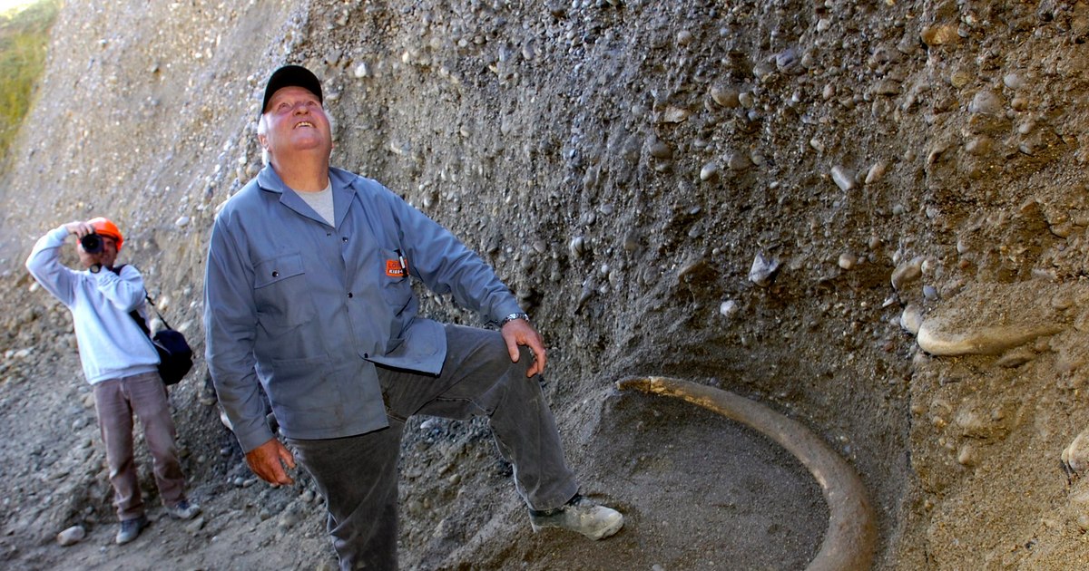 O fetiță a descoperit oase de mamut vechi de 100.000 de ani în timp ce ...