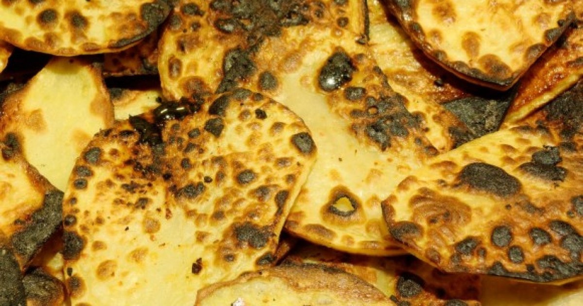 Cum se fac scrijele pe plită, după reţeta bunicii | adevarul.ro