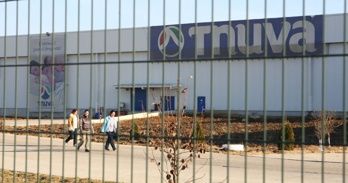 Turcii de la Sutaş vor să producă lactate în România. Au compărat ...