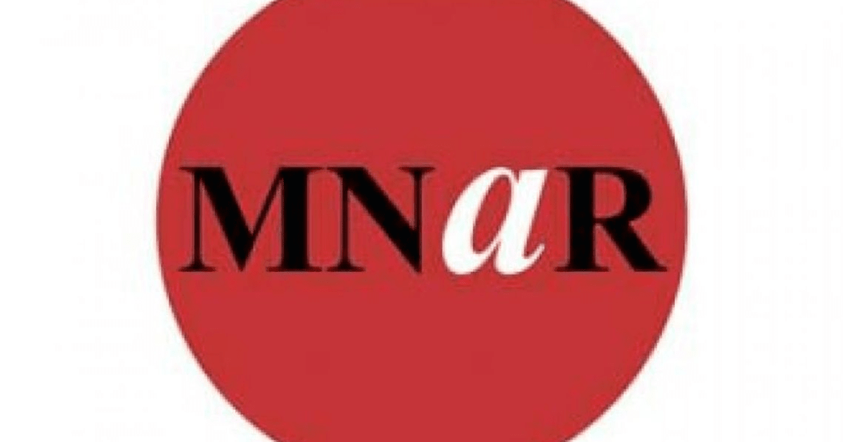 Vizite ghidate în Colecţia Elena şi Anastase Simu la Muzeul Colecţiilor ...