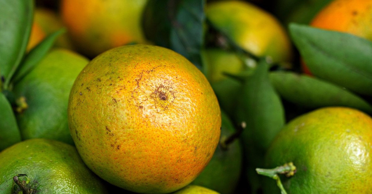 Un fruct popular în sezonul rece ascunde o adevărată comoară. Cojile ...