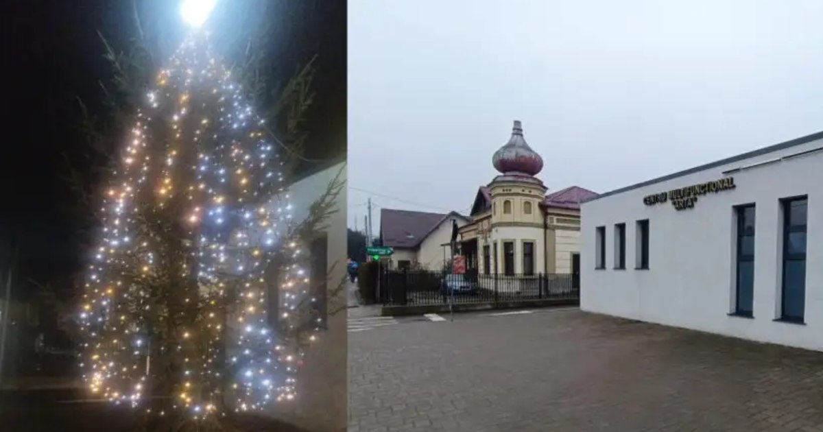 Bradul de Crăciun din Ițcani, furat în Suceava