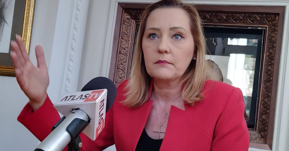 Elena Lasconi, radicală cu Nicuşor Dan: „N-are nicio şansă să ajungă în turul doi” | adevarul.ro