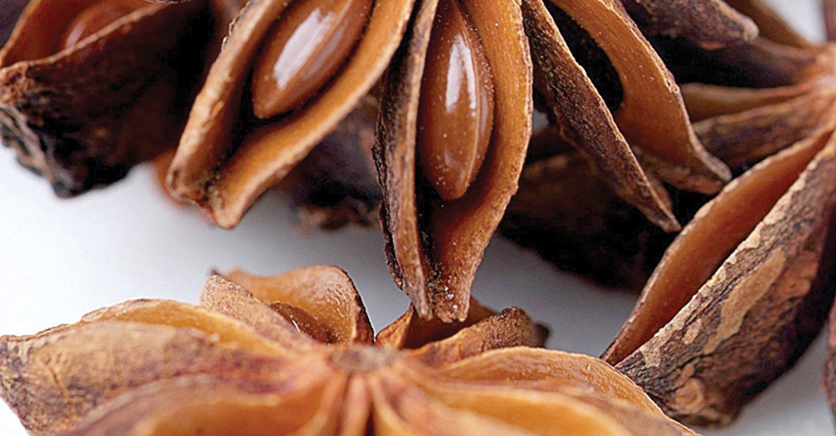 Ce beneficii are anasonul pentru sănătate