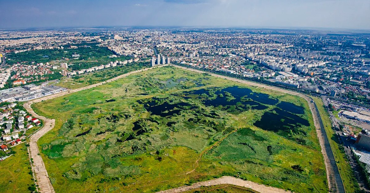 „Parcul Natural Văcărești” devine centrul distracției pe 23 mai. „Delta ...