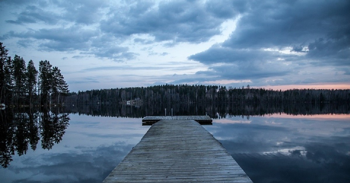 Unicul animal din lume care nu are corp. În schimb, are chip uman și ...
