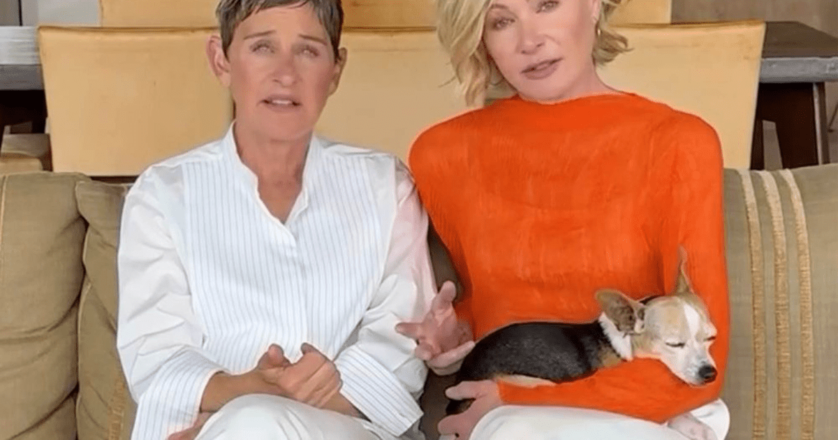 Ellen DeGeneres, despre oi și viața în Marea Britanie: „Nu am mai făcut ...