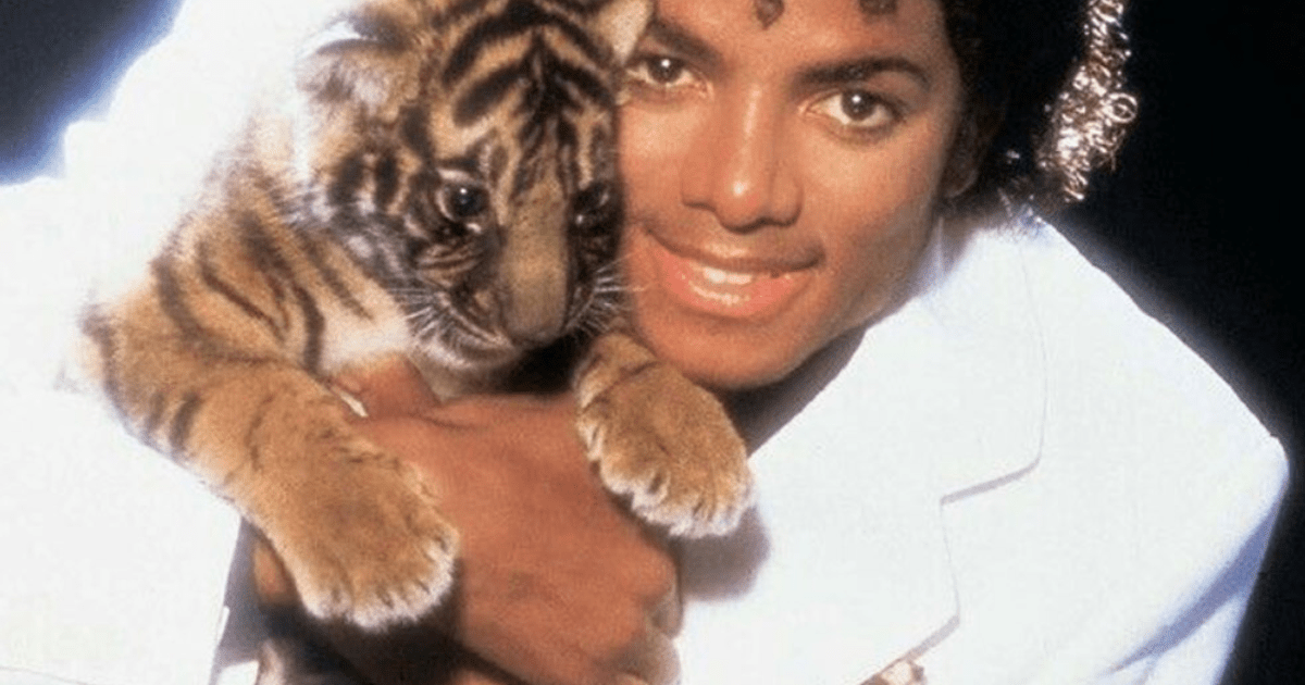 Michael Jackson, speriat să pozeze cu tigrul pentru coperta albumului ...