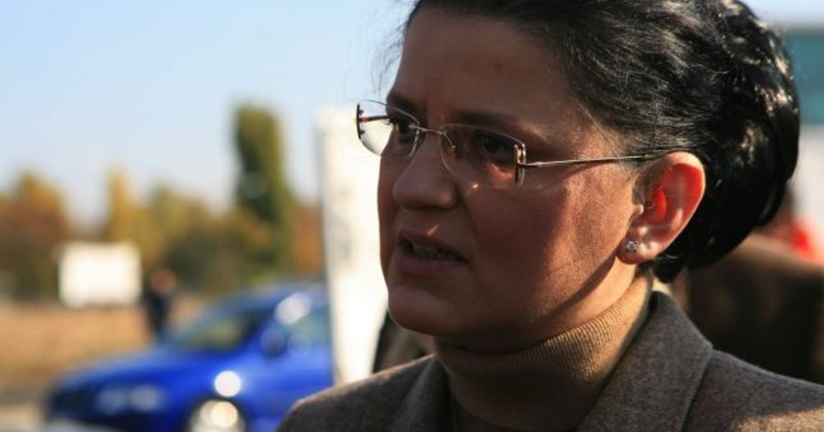 Anca Boagiu vrea desecretizarea contractului Bechtel: „Şova ştie de ce ...