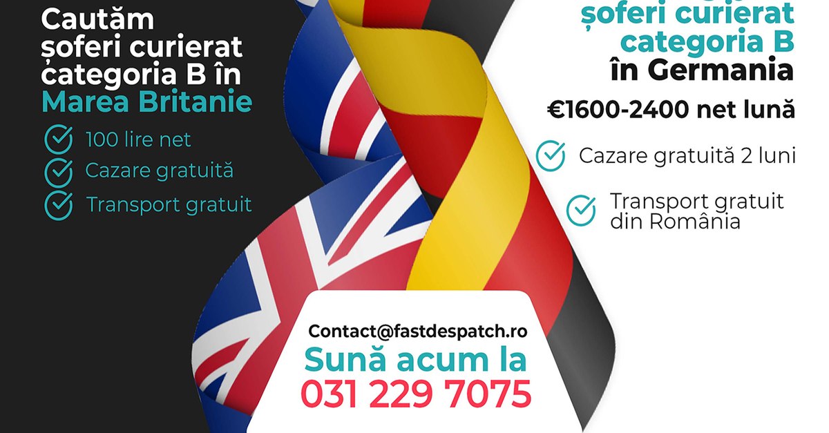 Fast Despatch Logistics, una dintre cele mai mari firme de curierat din ...