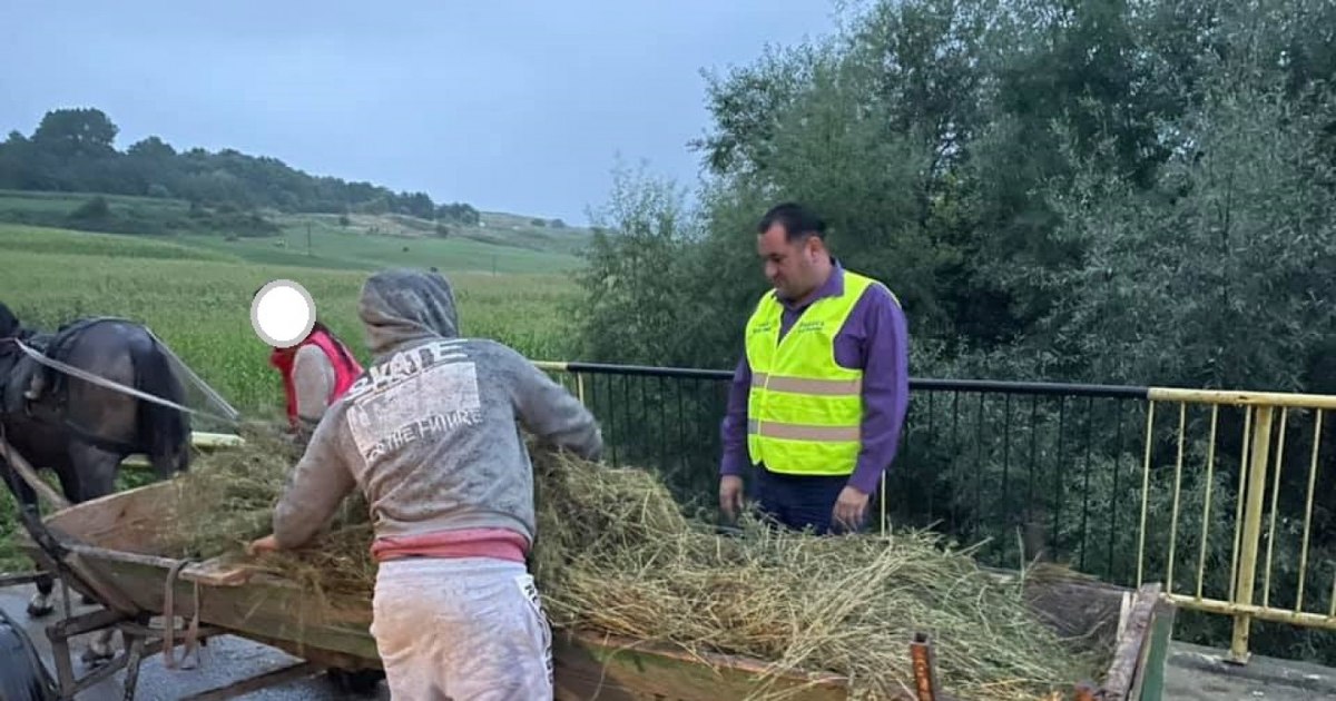 Cum a reuşit un primar de la ţară să pună capăt furturilor de pe ogoare ...