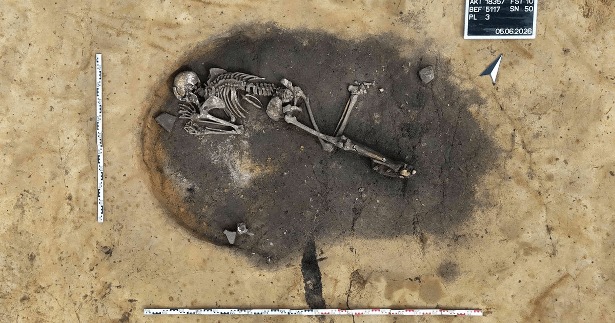 Scheletul unui bărbat cu craniul zdrobit, descoperit de arheologi într ...
