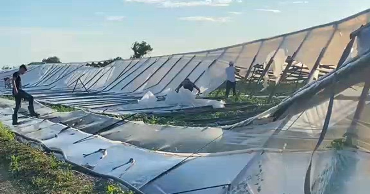„N-am văzut niciodată așa ceva!” Solariile din Buzău, distruse în 5 ...
