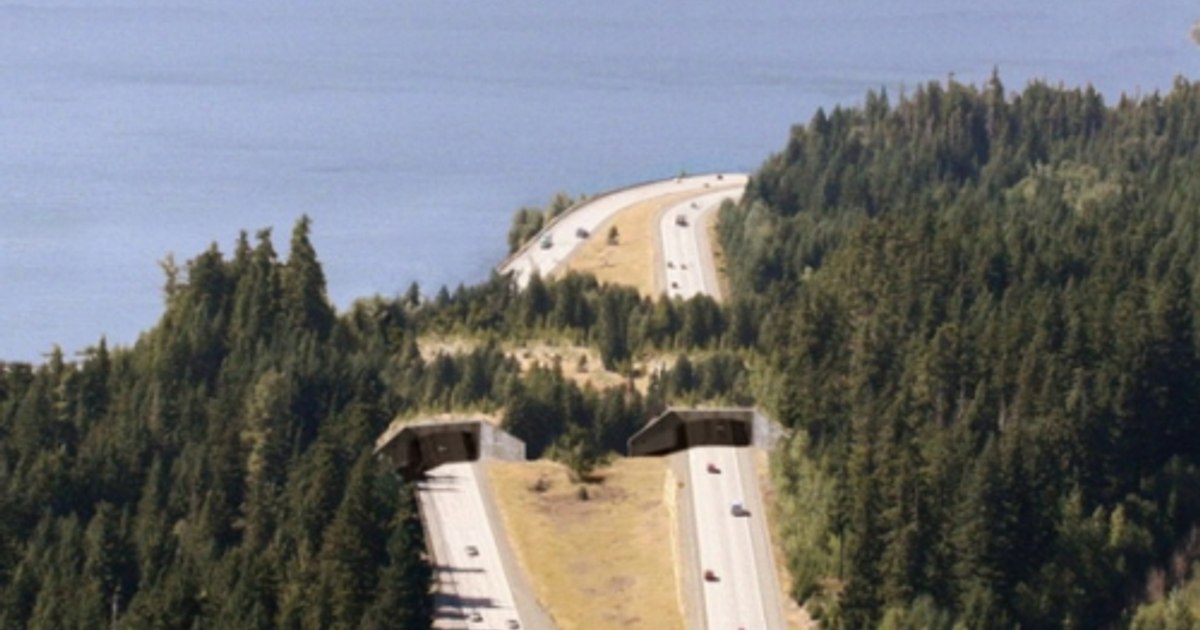 IMAGINI SPECTACULOASE cu cele mai interesante poduri din lume ...