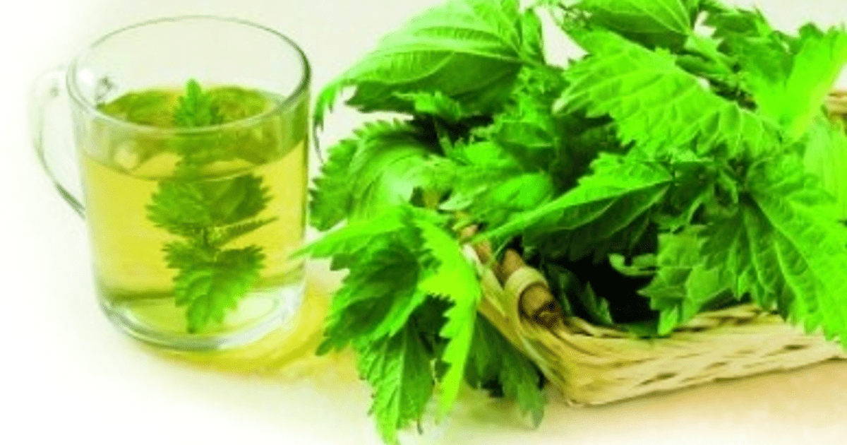 Cel mai bun ceai pentru rinichi sănătoşi