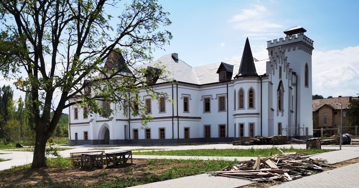 Castelul Nopcsa, scos la lumină. Aici a trăit savantul-spion Franz ...