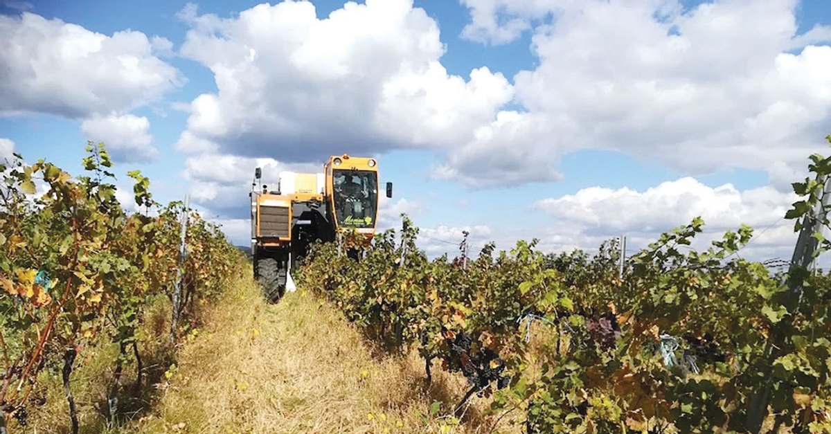 „Combina înlocuieşte munca a 100 de lucrători”. S-a găsit soluția ...