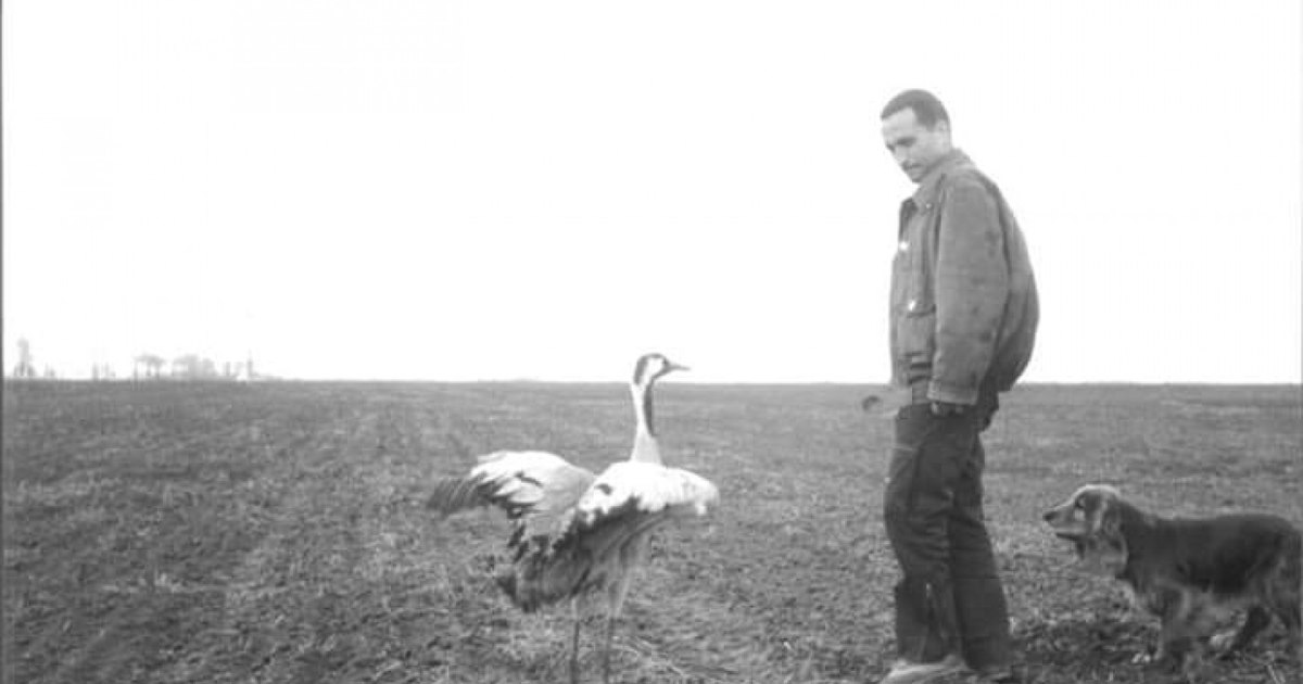 Ziua în care a murit Doru Davidovici, pilotul care a învăţat păsările ...