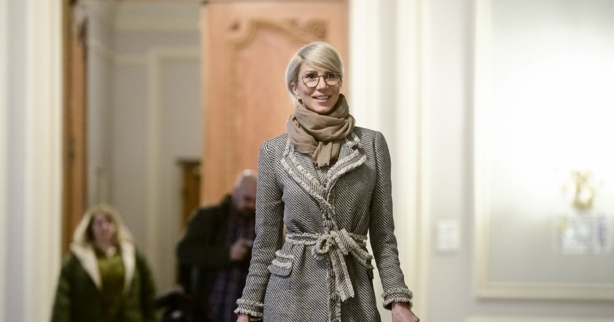 Turcan: Nicolae Ciucă, cea mai bună alegere a PNL la prezidențialele ...