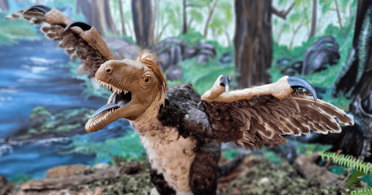 Balauri mici, balauri mari, cale ferată fără șină și povestea celor ...